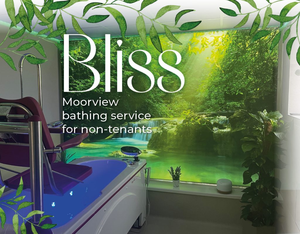 Bliss Bathing Service - The Fed